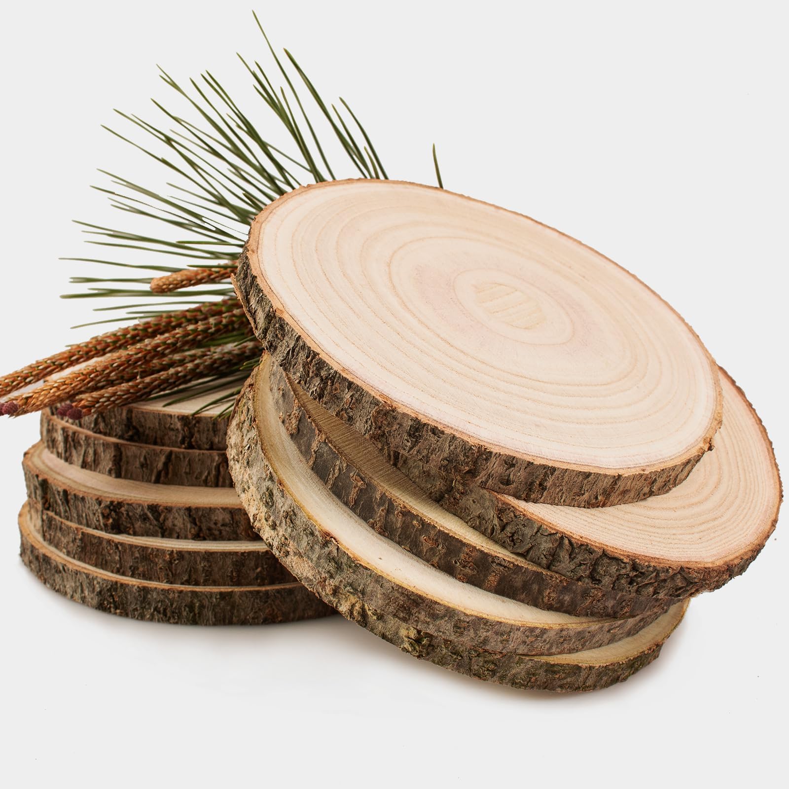 Amazon.com: Natural Wood Slices 10 Pcs 8-9 Inches Large Wood Slices for ...
