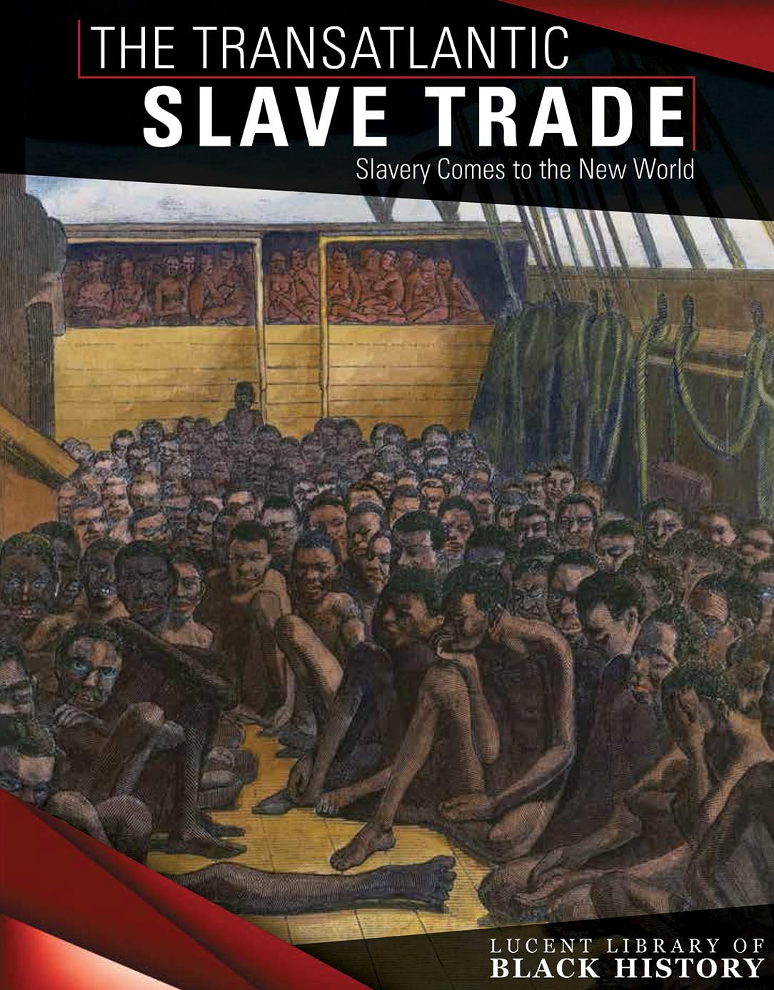 Amazon.com: The Transatlantic Slave Trade: Slavery Comes to the New ...