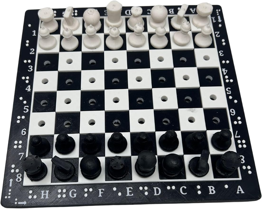 Amazon.com: Stylish Durable Plastic Braille and Sighted Chess Set, The ...
