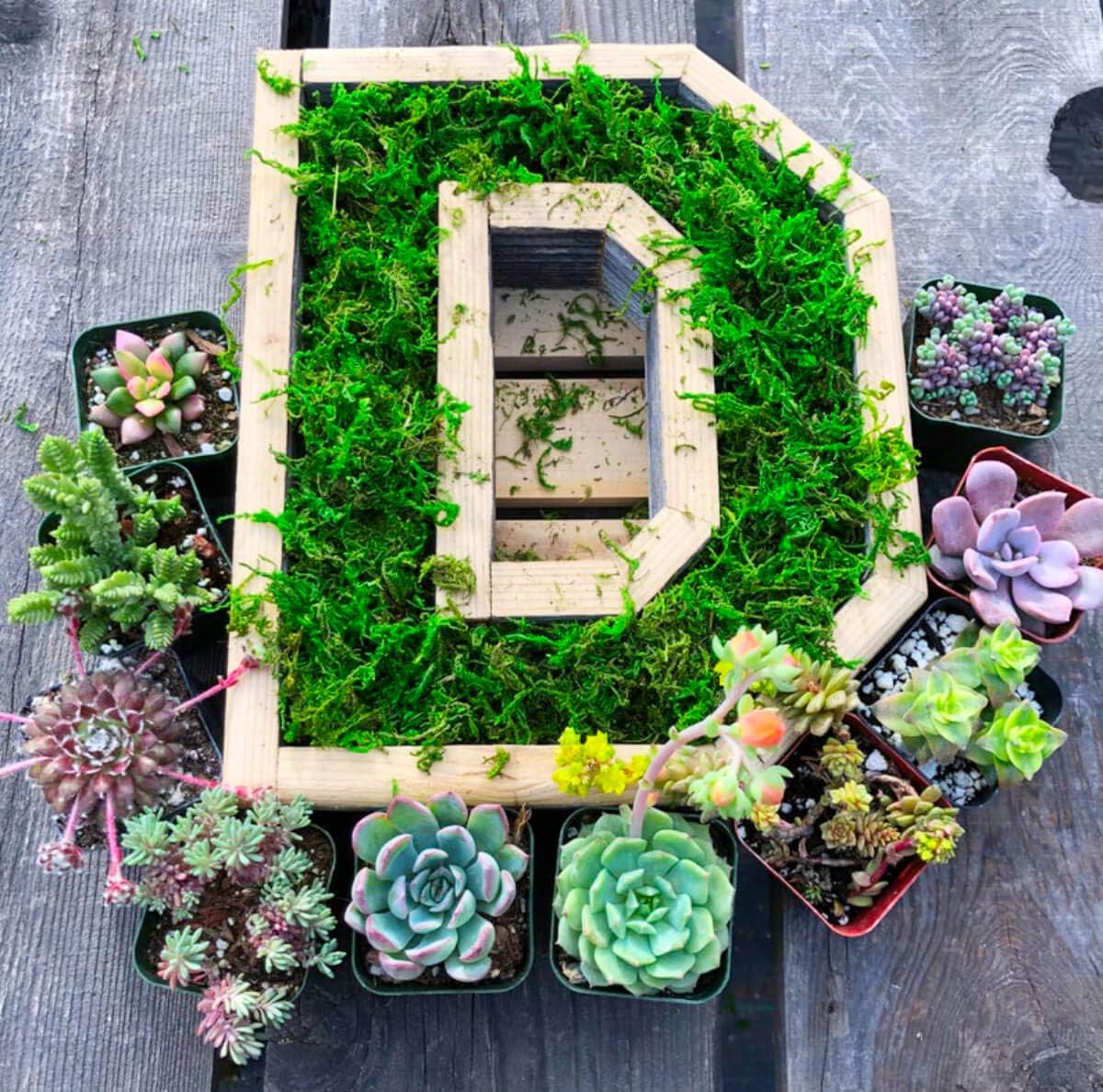 Amazon.com: Monogram (Letter)-Shaped DIY Kit (M 10") : Patio, Lawn & Garden