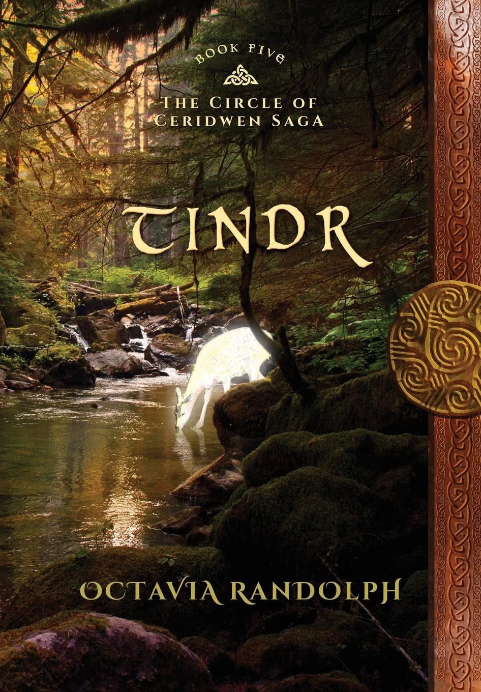 Amazon.com: Tindr: Book Five of The Circle of Ceridwen Saga ...