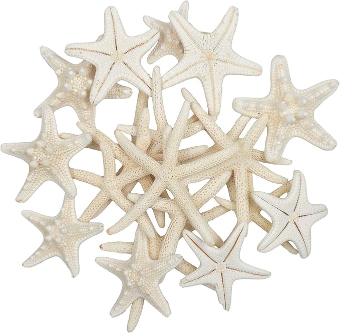Jangostor 20 PCS Starfish Mixed Ocean Beach Starfish-Natural Colorful ...
