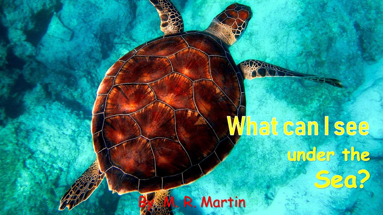 What Can I See Under the Sea? - Kindle edition by Martin, M.R ...
