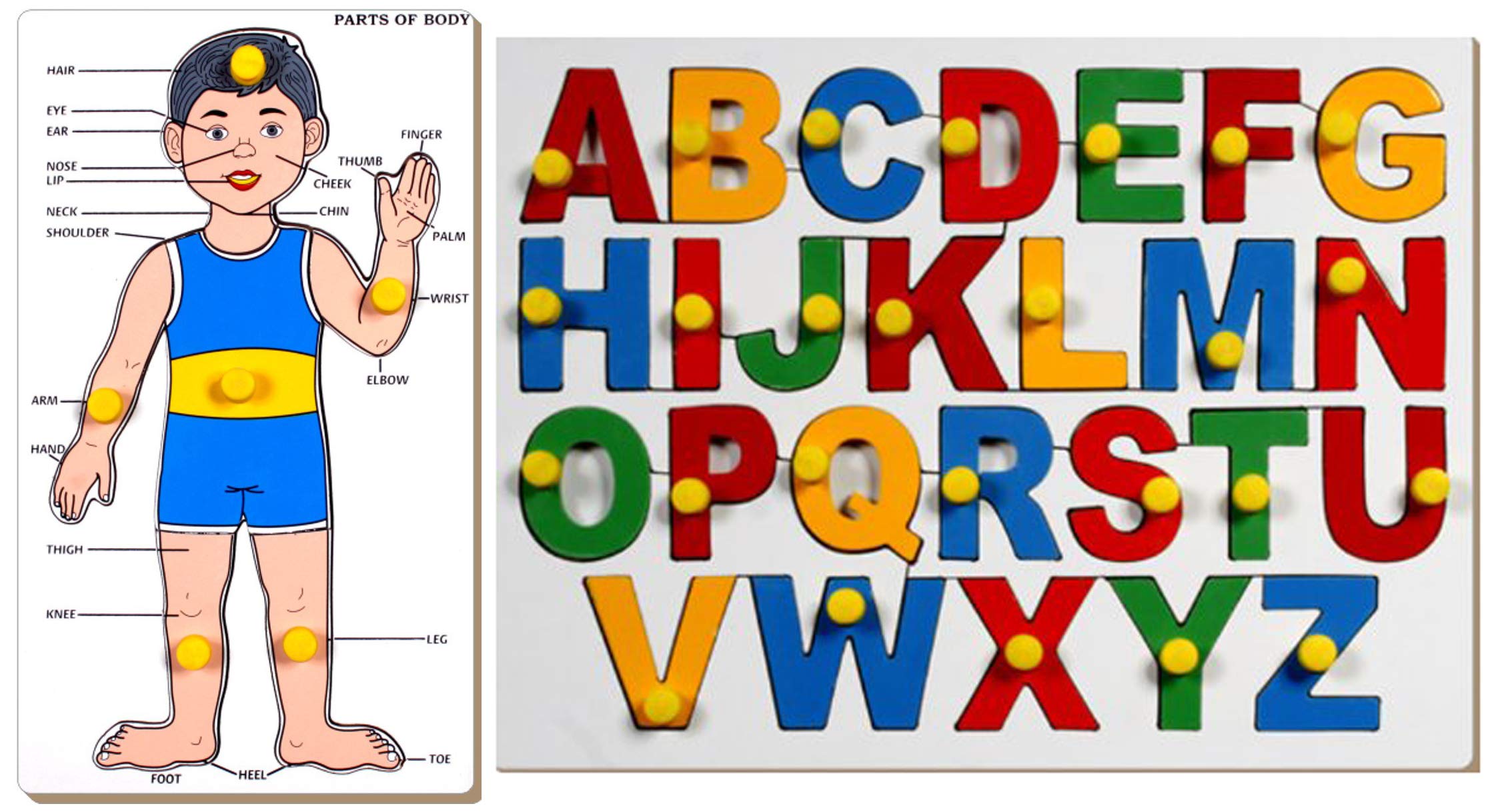 Buy Little Genius Parts of Body - Boy with Knob & Little Genius English ...