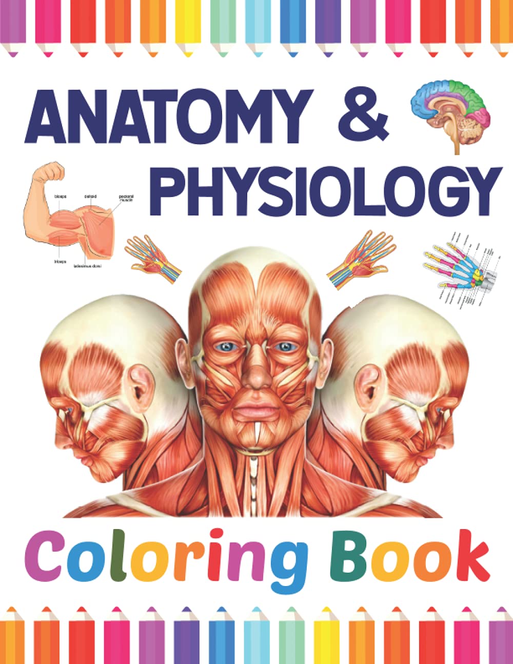 Buy Anatomy & Physiology Coloring Book: This Coloring Book is Helpful ...