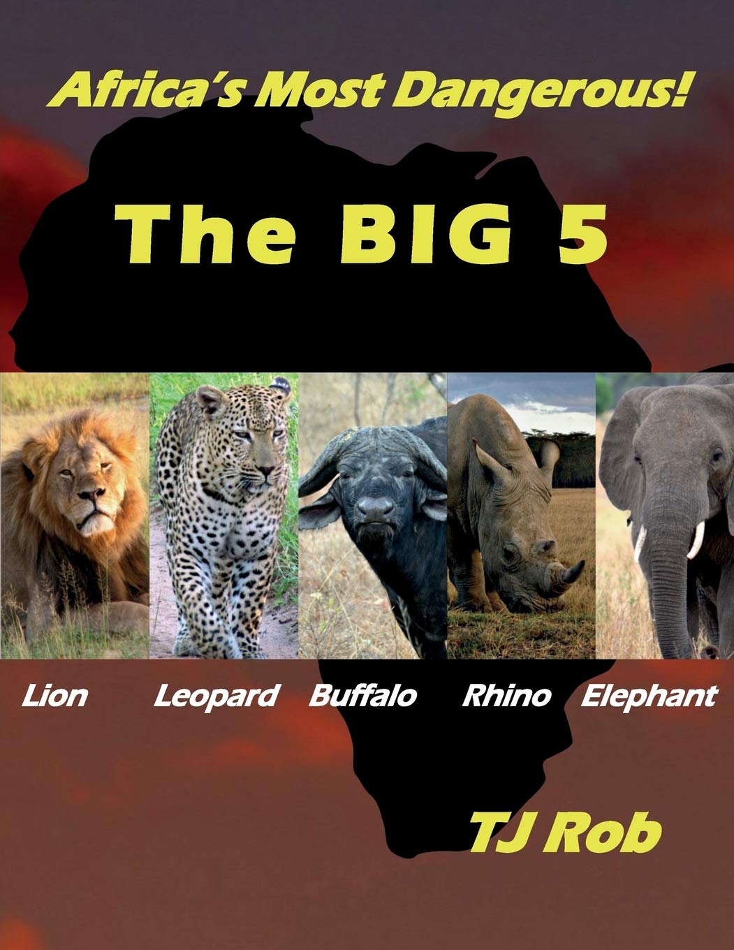 Top 5 Most Dangerous Animals In Africa The Ten Deadliest Animals In