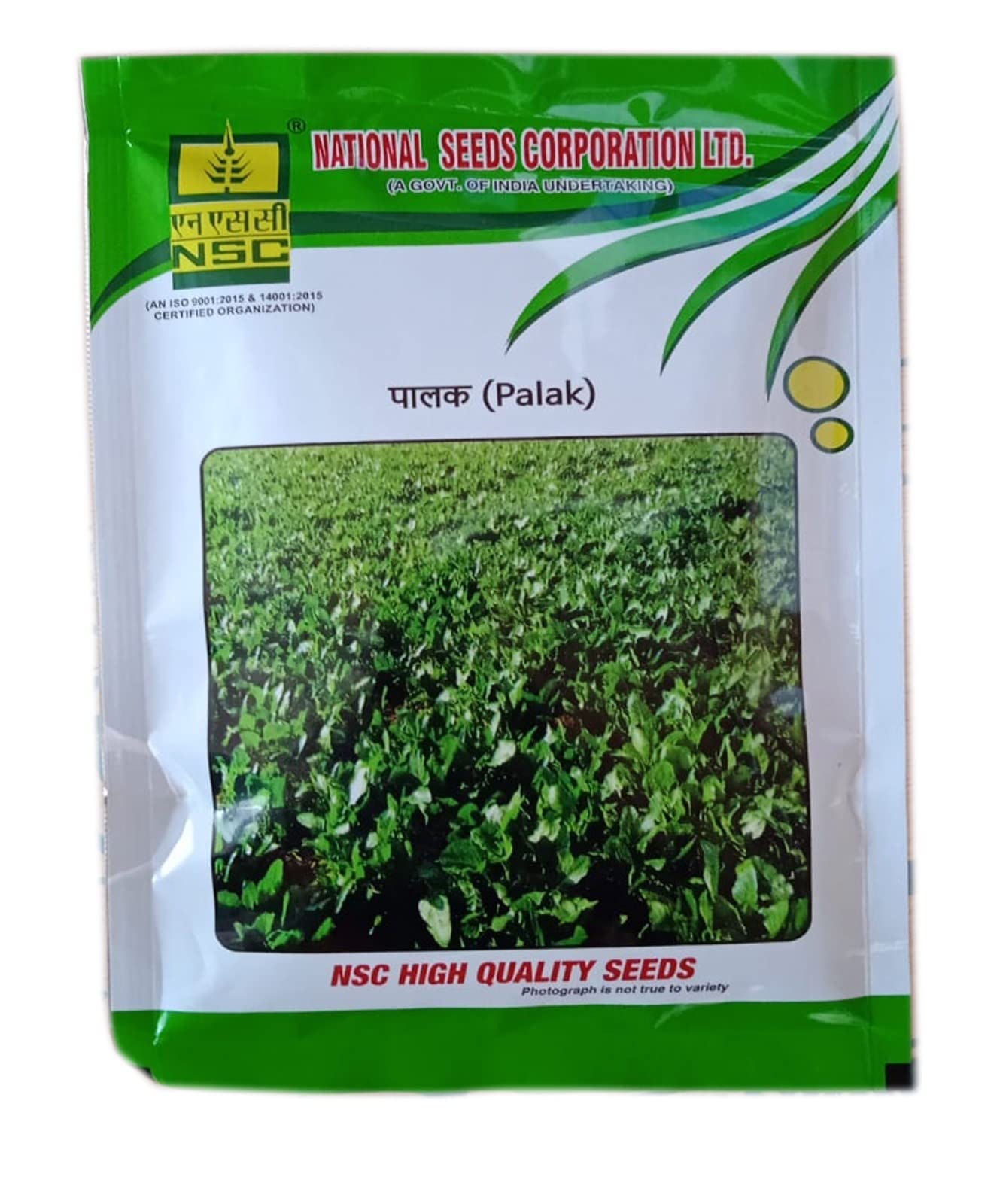 Buy Iagrifarm Palak or Spinach Green Leafy Vegetable (Green,Pack of 100 ...