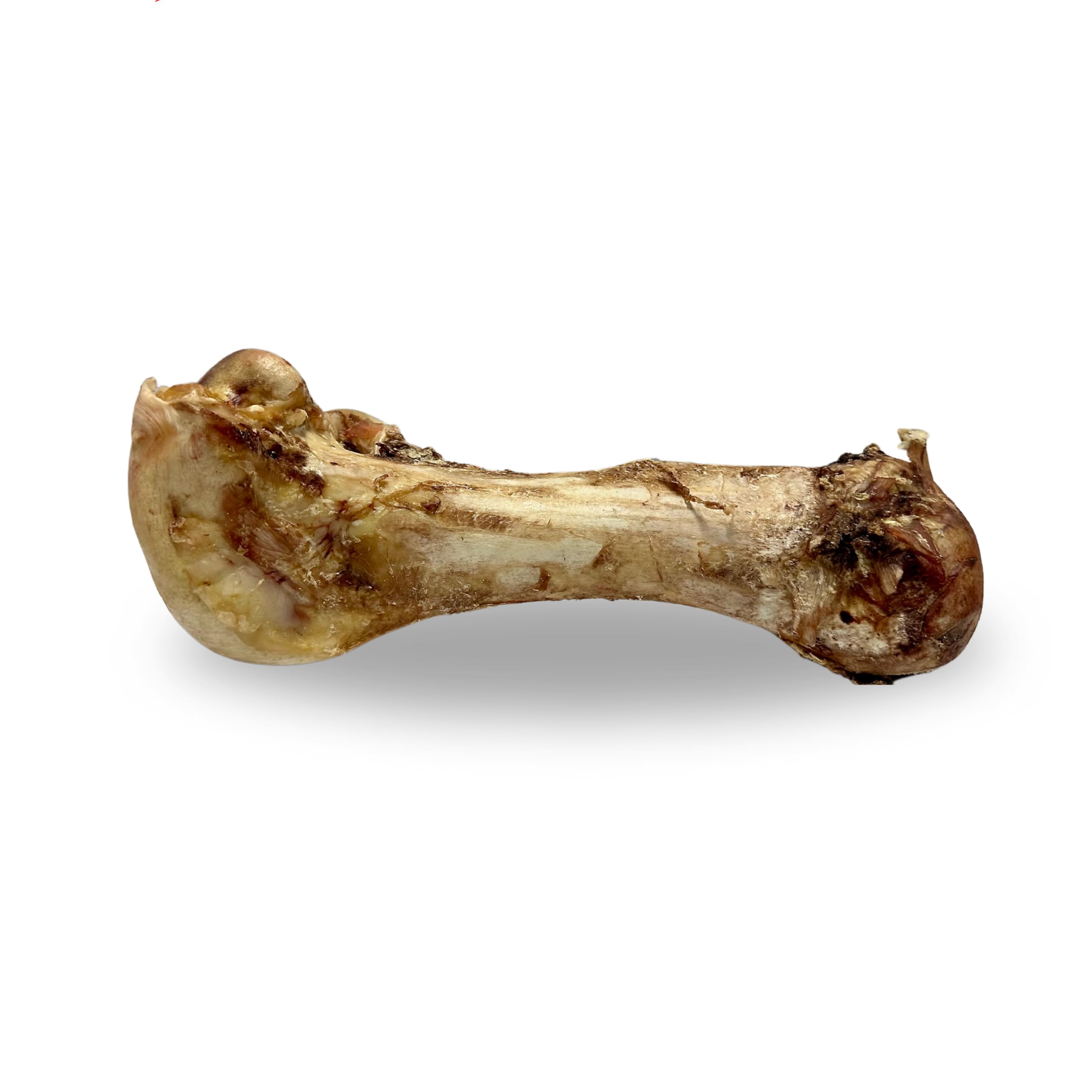 Natural Treats Jumbo Ostrich “DINO” Bones for Dogs (1pc) Low Fat Single ...