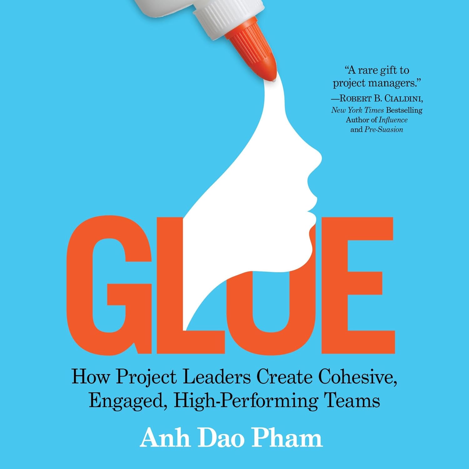 Amazon.com: Glue: How Project Leaders Create Cohesive, Engaged, High-Performing Teams ...
