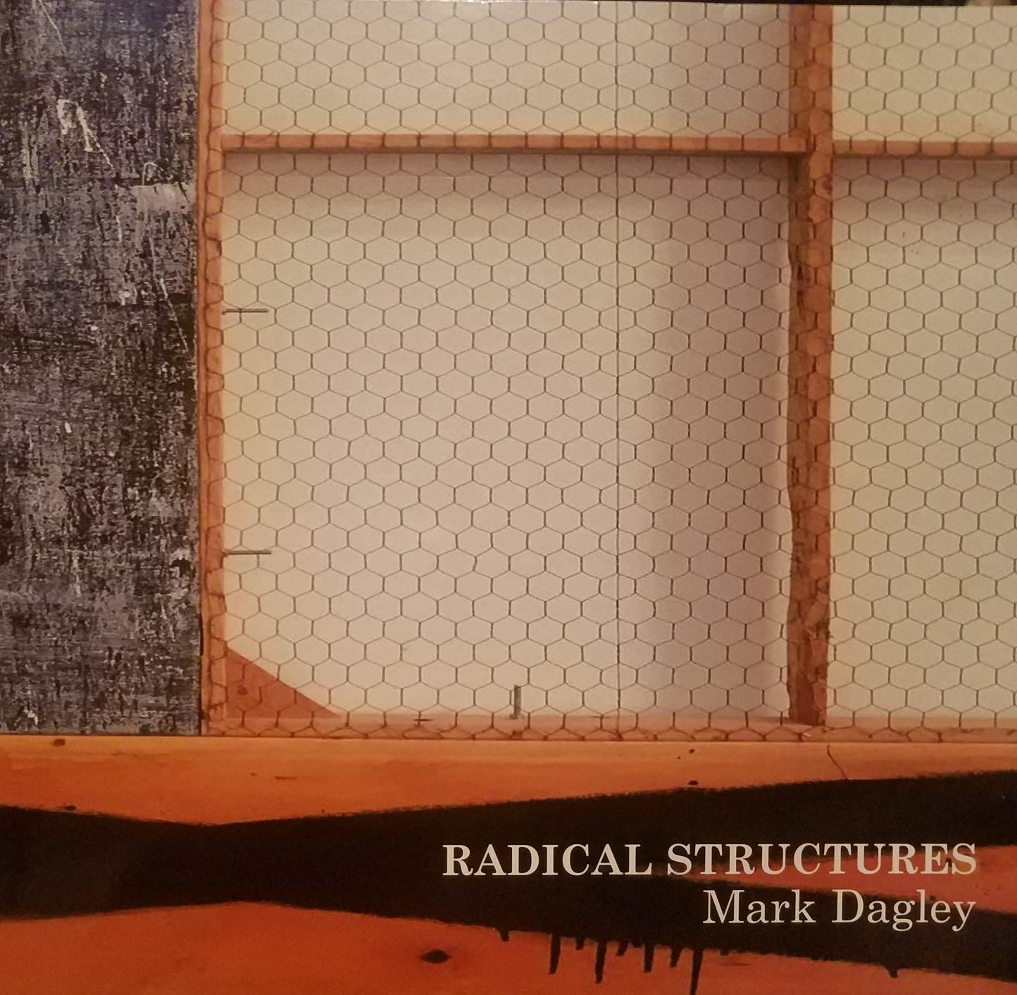 Radical Structures: Mark Dagley, Lauri Bortz: 9780967732688: Amazon.com ...