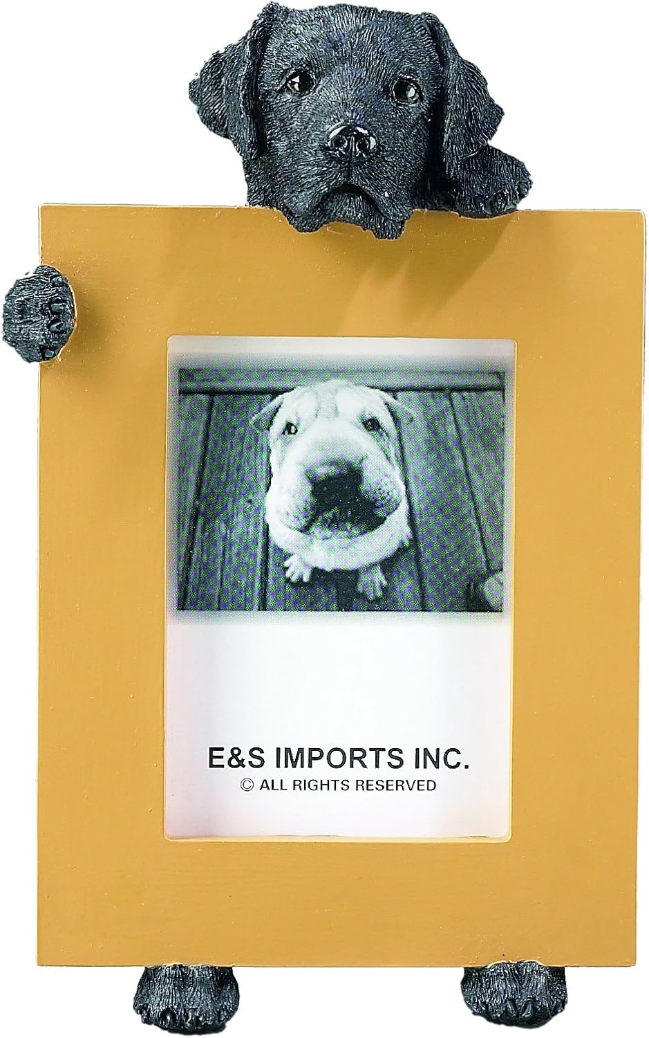 Amazon.com: Black Labrador Retriever 2.5" x 3.5" Dog Photo Frame : Home ...