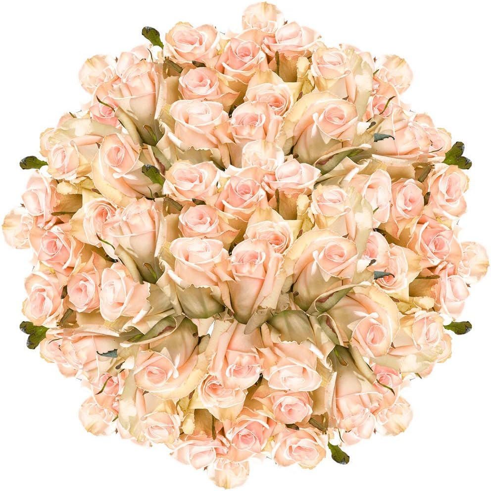 Amazon.com: GlobalRose 250 Fresh Cut Soft Pink Roses - Large Bloom ...