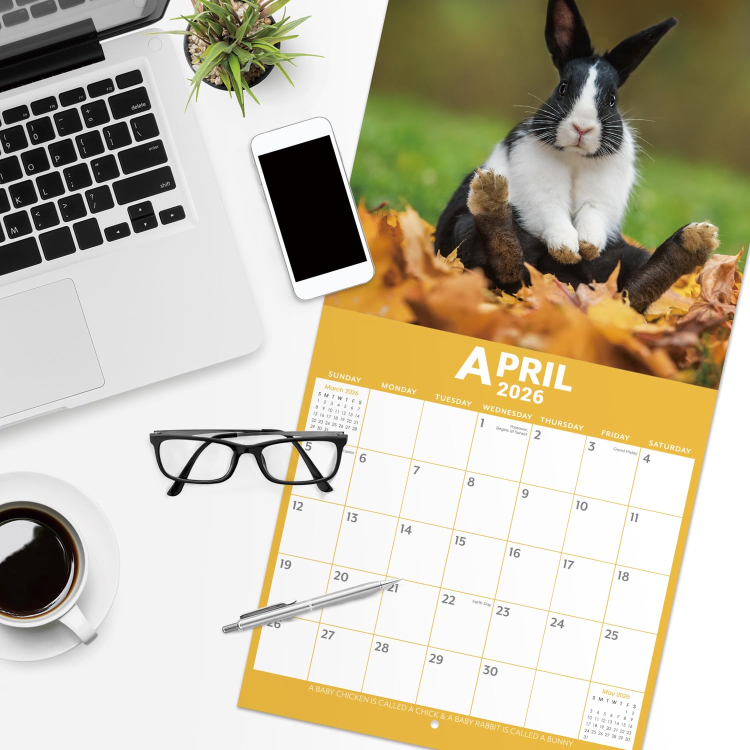 Snapklik.com : 2026 Calendar - 12 Month Baby Animals Wall Calendar 2026 ...