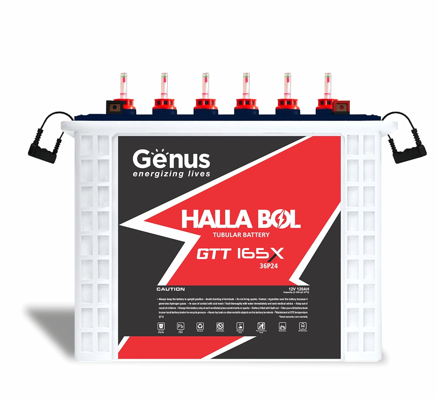 Genus Hallabol GTT165X 120 AH Tall Tubular Inverter Battery for Home ...