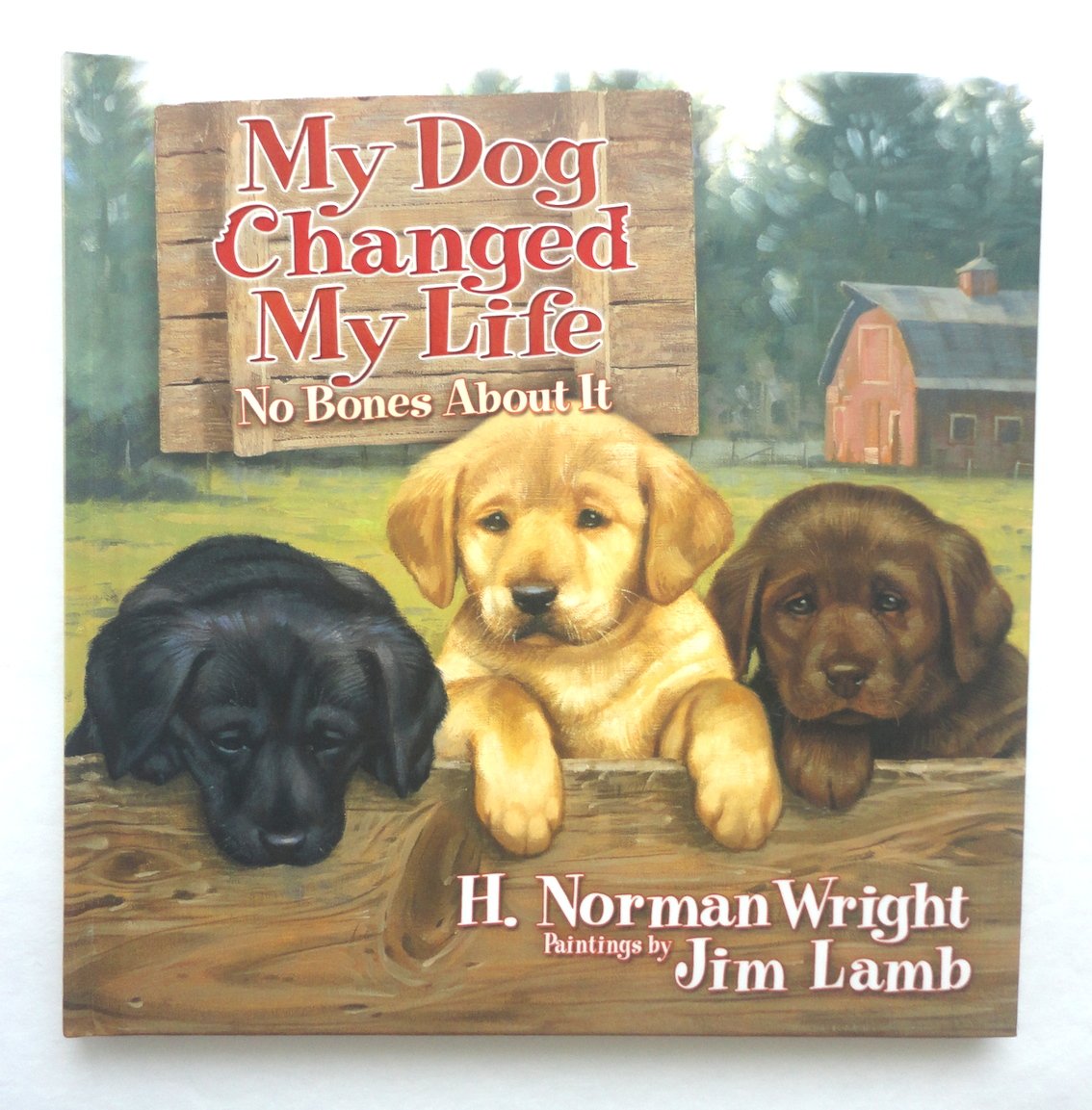 Amazon.com: My Dog Changed My Life (No Bones About It): 9780736911481 ...