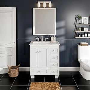 Amazon.com: Eviva Acclaim 28 Inch Bathroom Vanity with Sink - Ideal ...