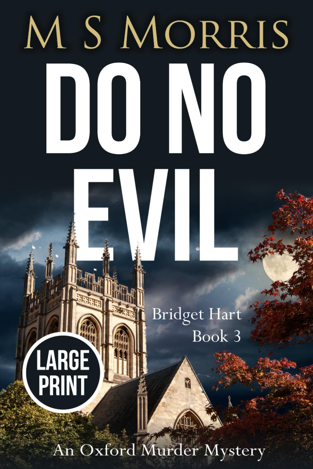 Do No Evil (Large Print): An Oxford Murder Mystery (Bridget Hart ...