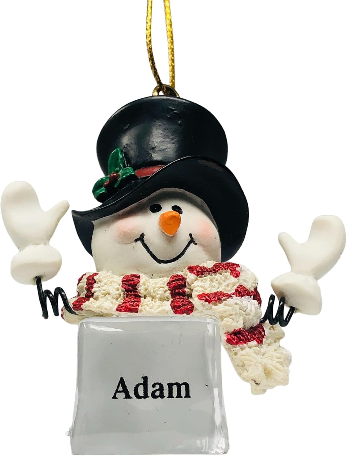 Amazon.com: Ice Cube Snowman Christmas Ornament with Personalized Name ...