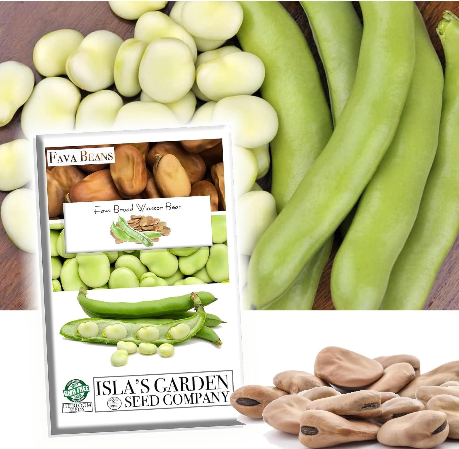 Amazon.com : Organic Sprouting Fava Bean Seeds - 30 g Packet ~50 Seeds ...