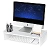 Amazon.com: CONKAWACA Cute Monitor Stand Kawaii Desk Organizer Cute ...