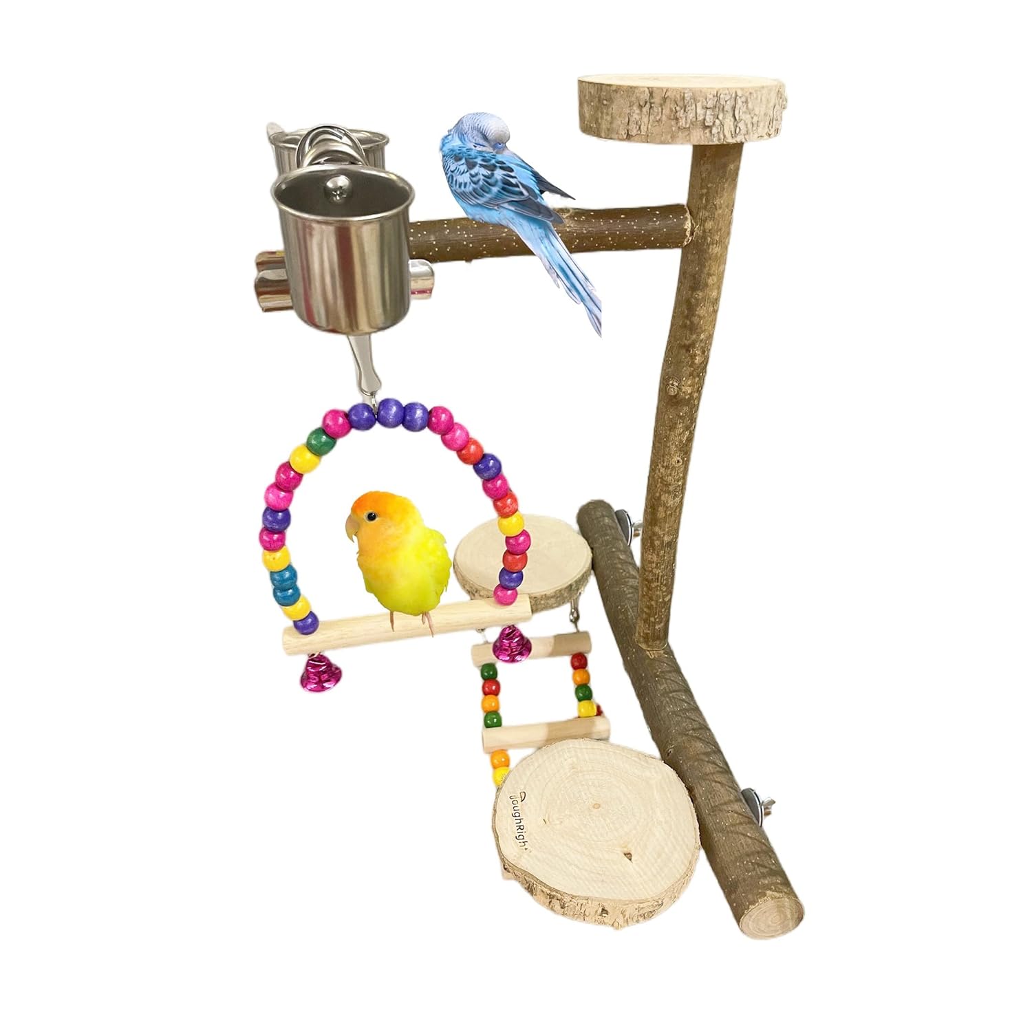 Amazon.com: Natural Wood Bird Perch Playground for Outside the Cage ...