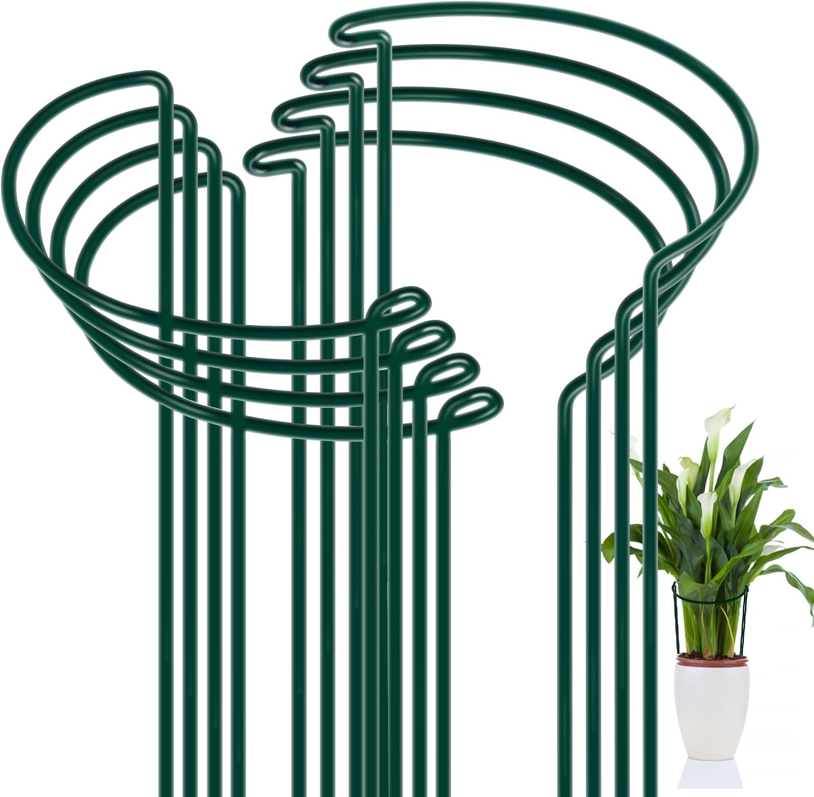 Amazon.com : 6 Pack Plant Support Stakes, Metal Monstera Plant Support Stakes for Indoor Plants ...