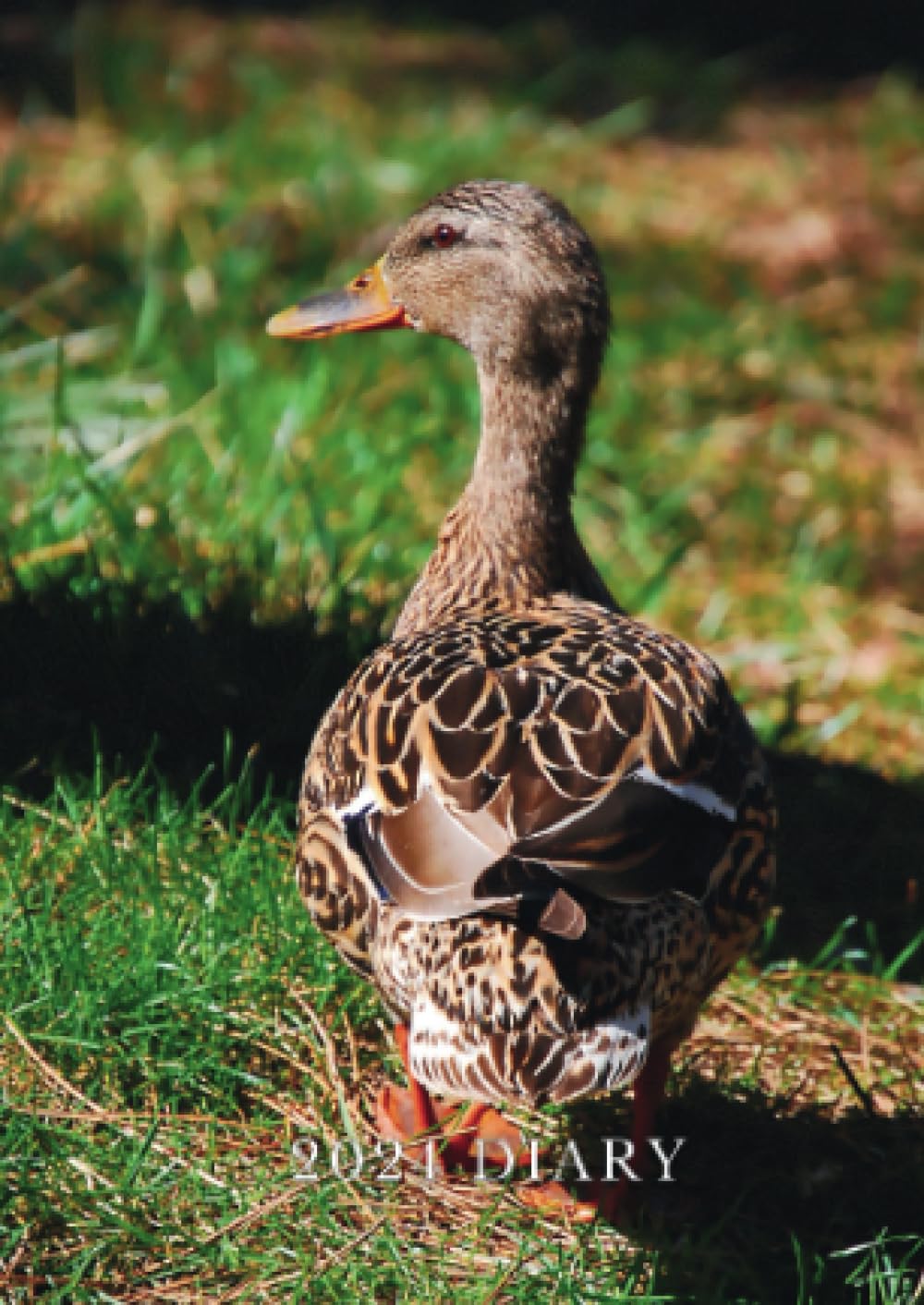 Duck Diary 2024 Slim: A6 diary, week to view, diary planner 2024-25 ...