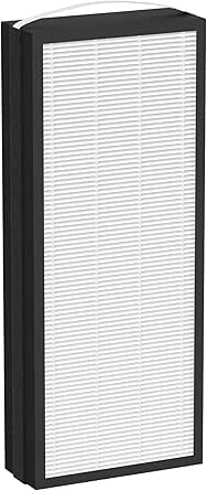 Amazon.com: XBWW AC400 Replacement Filter Compatible with LUFTRUM AC400 ...