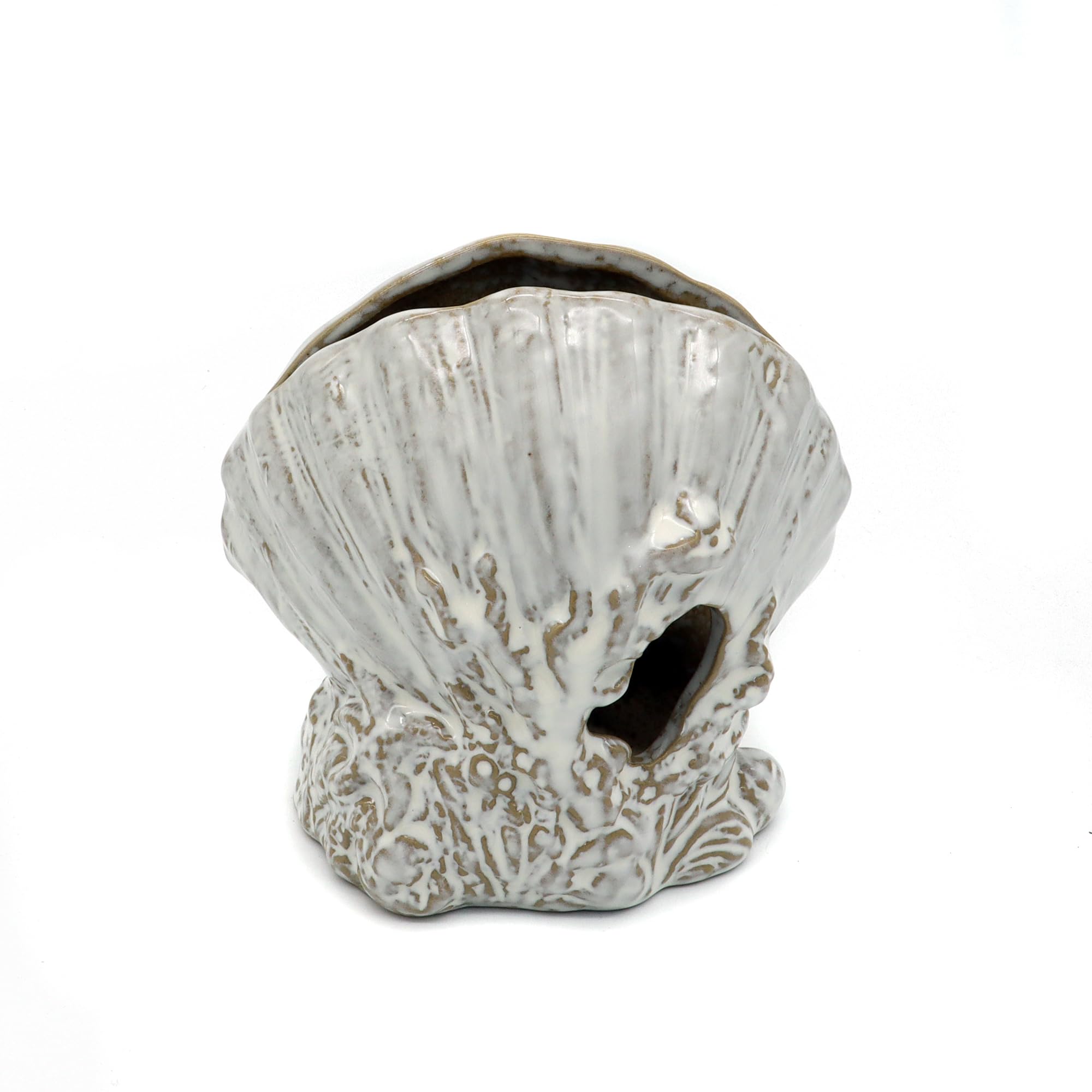 Amazon.com: ALEGI Aquarium Decorations Cave Ceramic Sea Shell Decor ...