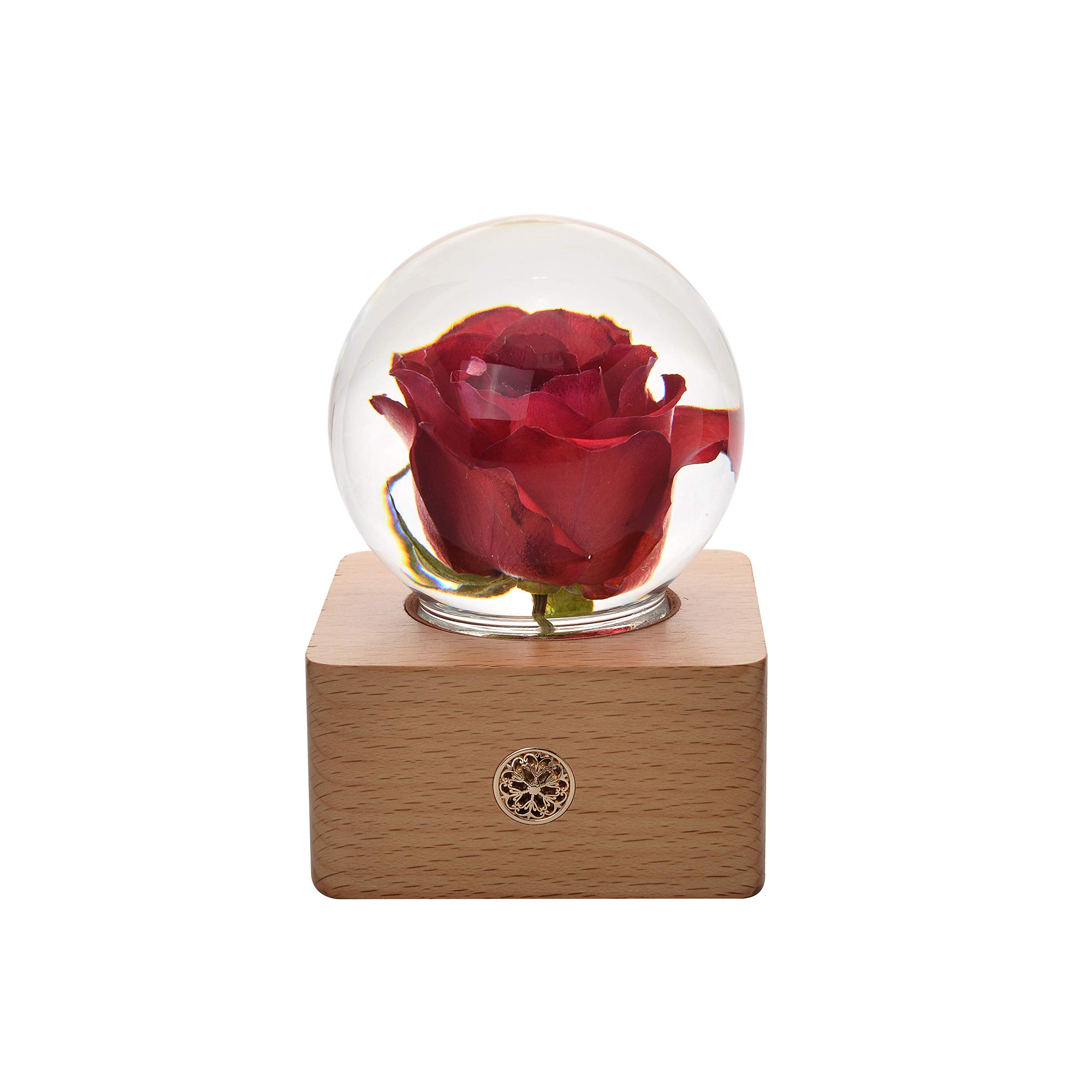 Vampire Knight Rose Encased In Resin
