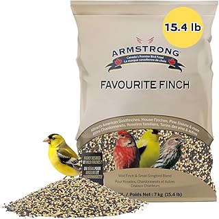 The Feeding Habits Of House Finches: What Do They Eat? | PetShun