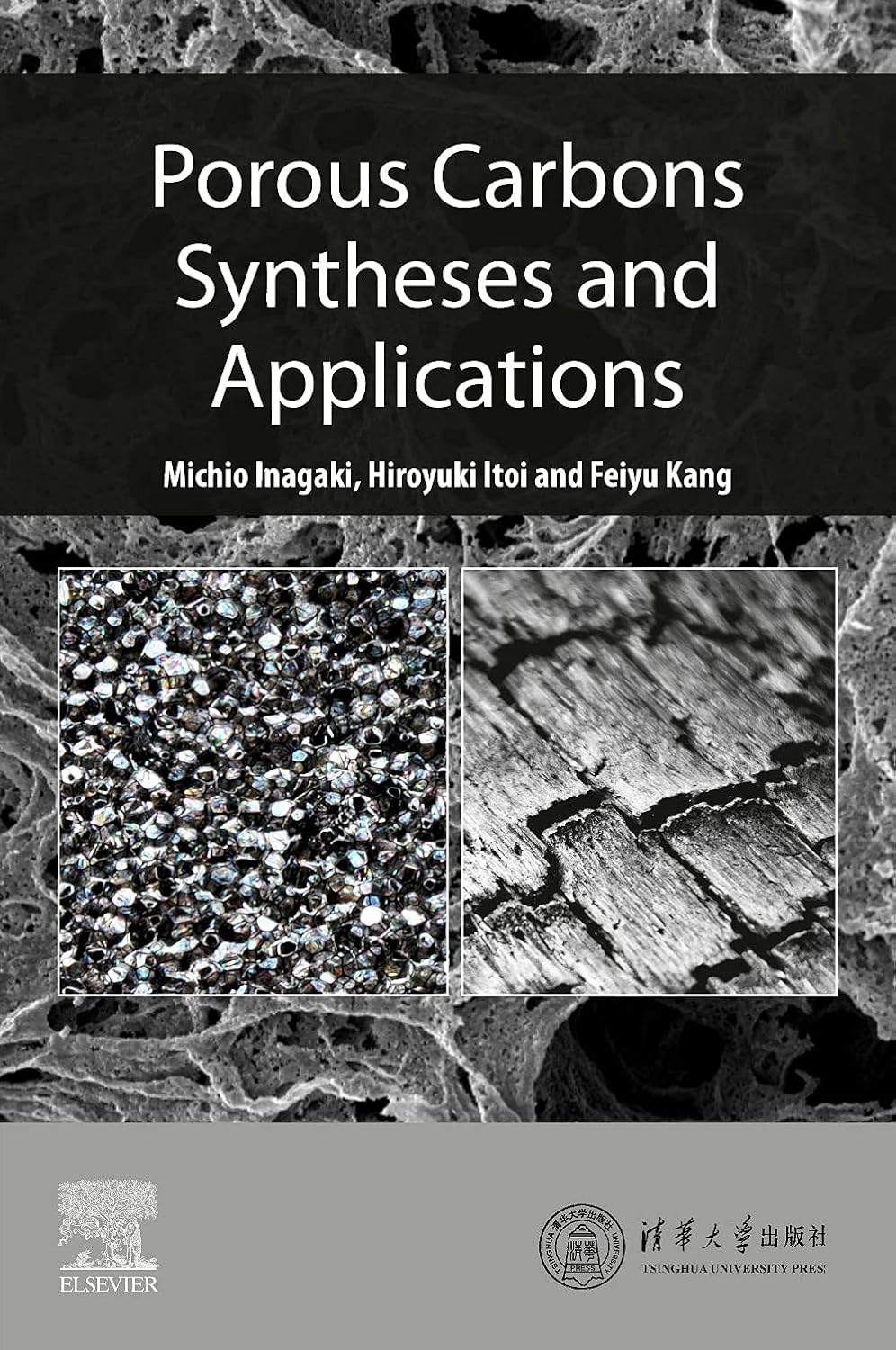 Amazon.com: Porous Carbons: Syntheses and Applications: 9780128221150 ...