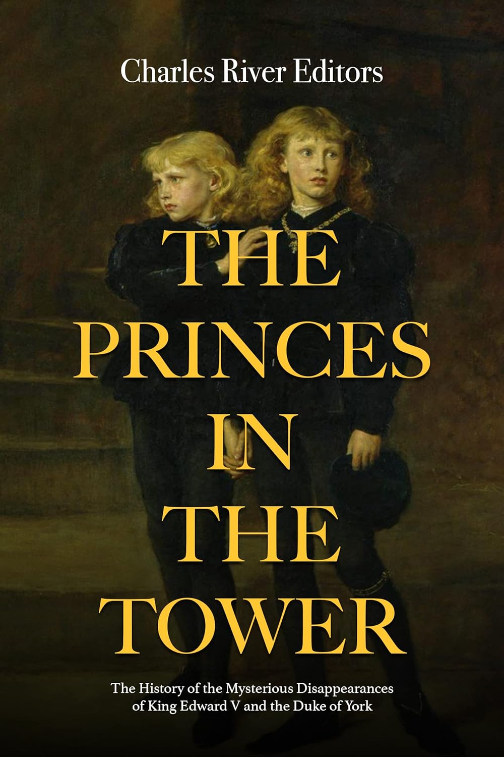 Amazon.com: The Princes in the Tower: The History of the Mysterious ...