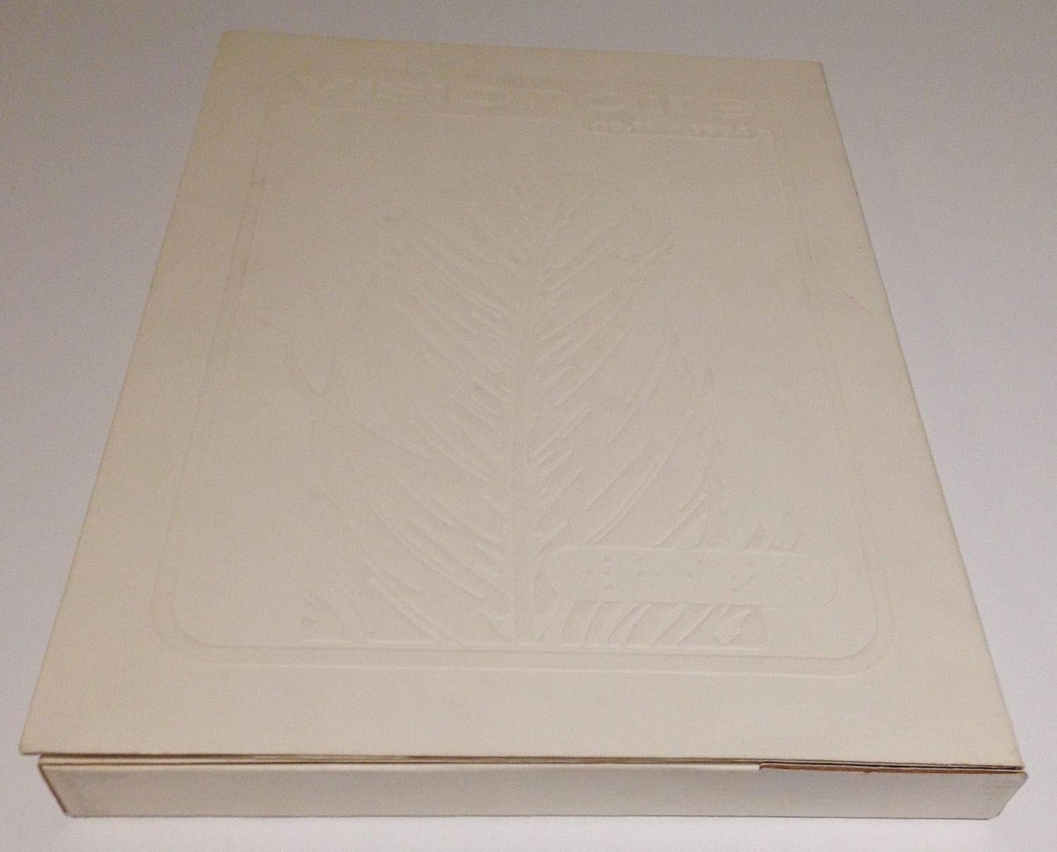 Visionaire 11: Rubén Toledo: Amazon.com: Books