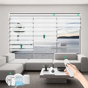 Amazon.com: Bliwans Motorized Zebra Blinds with Remote, Work with HomeKit Alexa Automatic ...