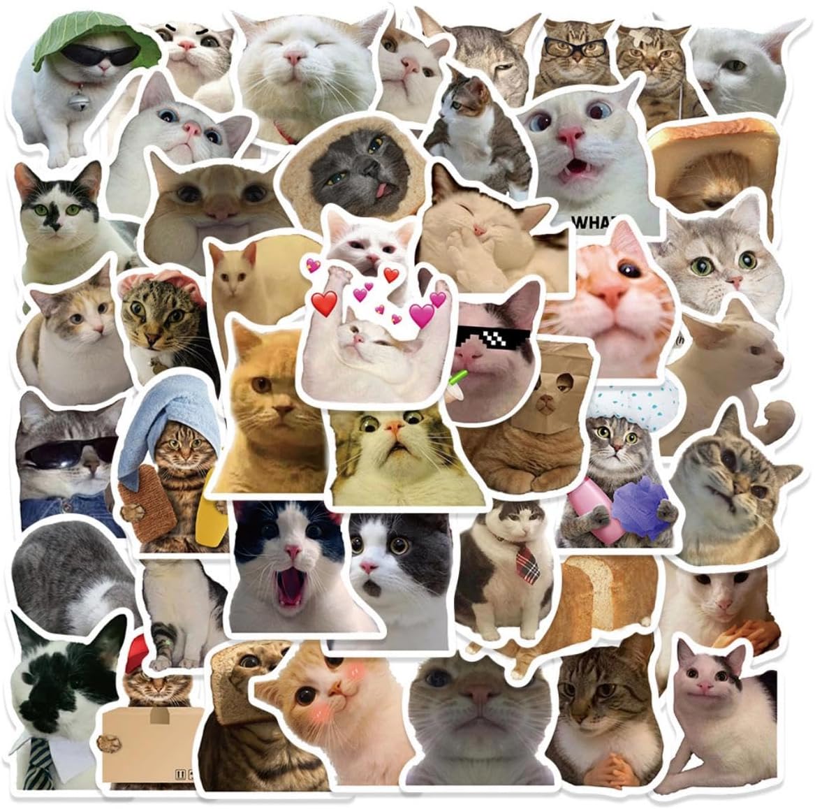Amazon.com: 100 PCS Funny Cute Animal Cat Stickers for Cat Lovers ...