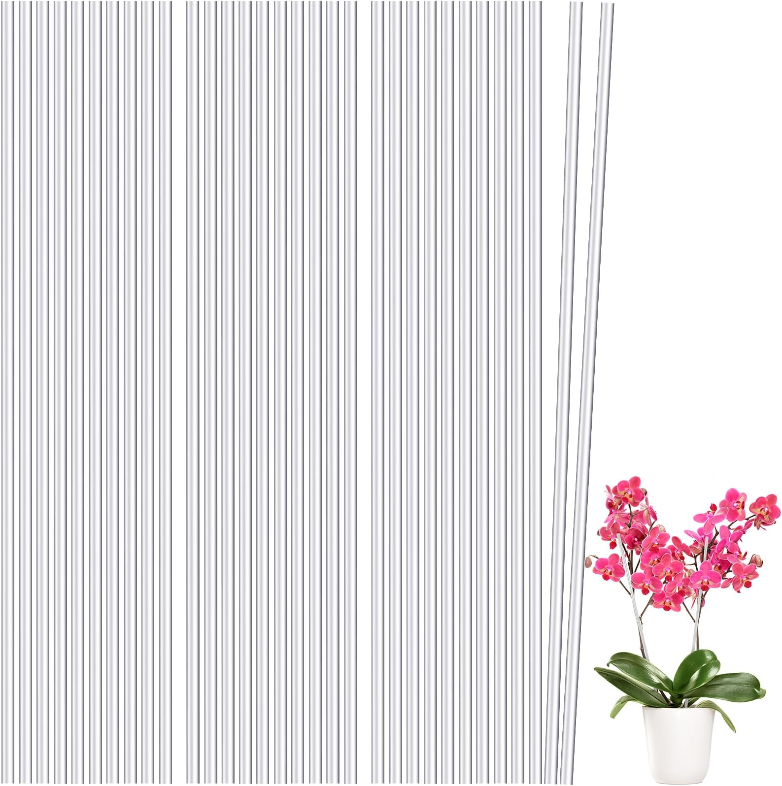 Amazon.com : 30 Pcs 18 Inch Acrylic Plant Stakes Garden Stakes Clear ...