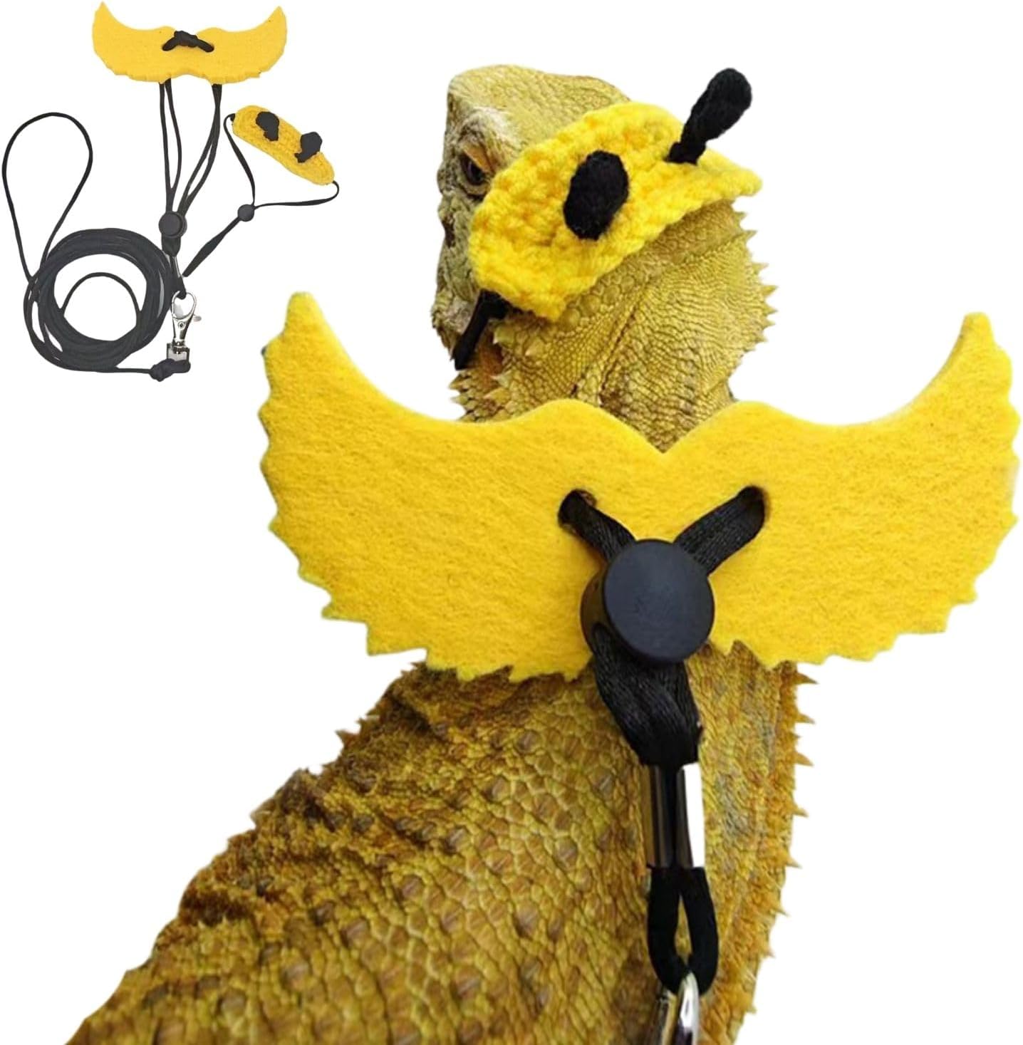 Amazon.com: Romansk Bearded Dragon Harness and Leash Set - Escape Proof ...