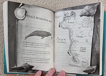 The Lost Whale: A powerful animal adventure story for children, from ...