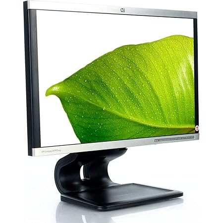 Amazon.com: HP W1907 19-inch Widescreen Flat Panel LCD Monitor ...