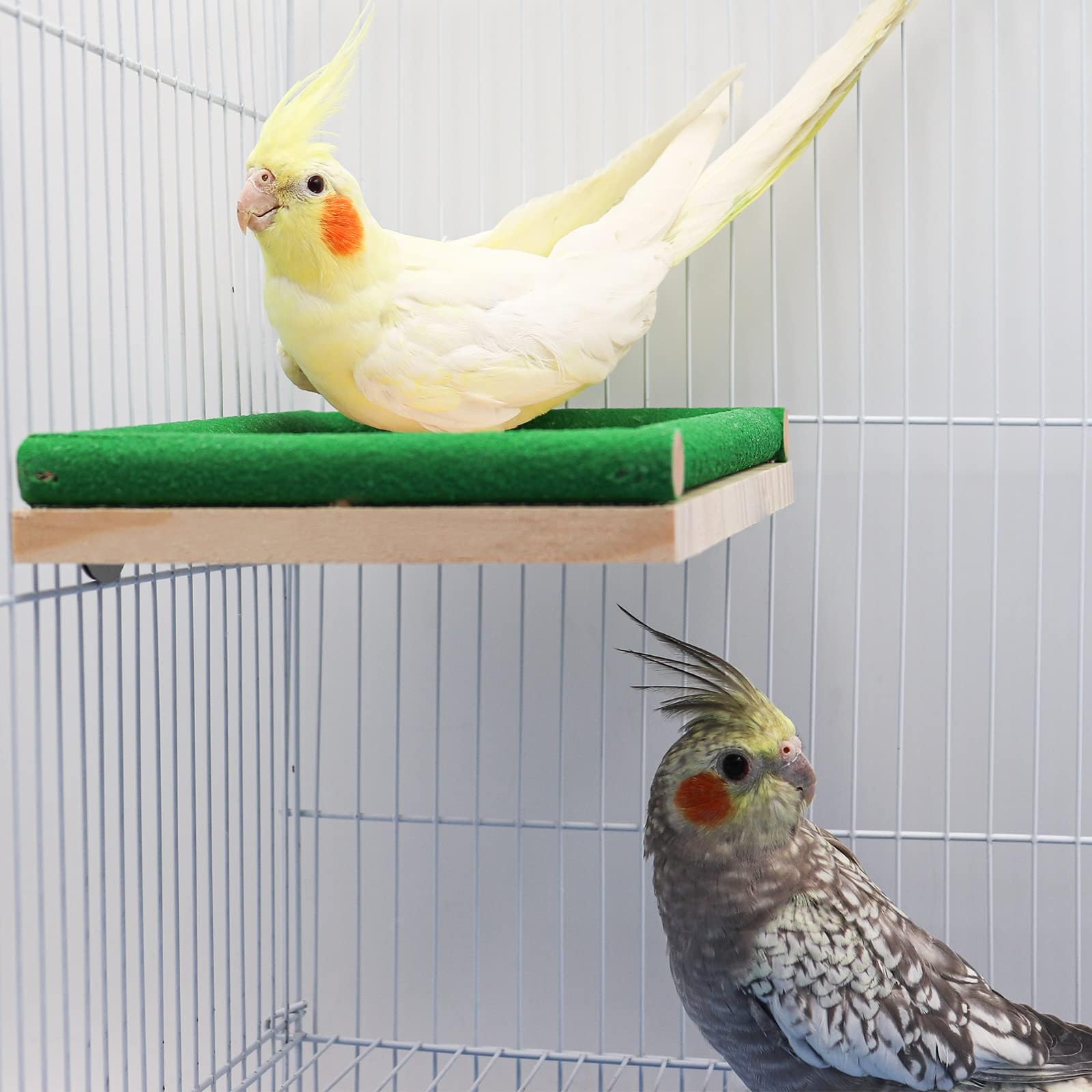 Amazon.com : Bird Perch Stand Toy, 2PCS Parrot Cardboard Paw Grinding ...