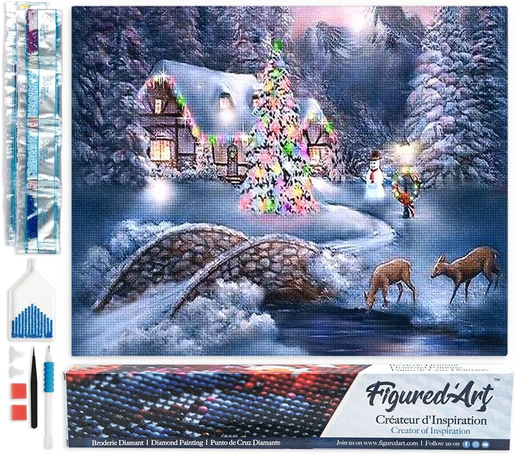 Amazon.com: Figured’Art Diamond Painting Art kit for Adults 16"x20 ...