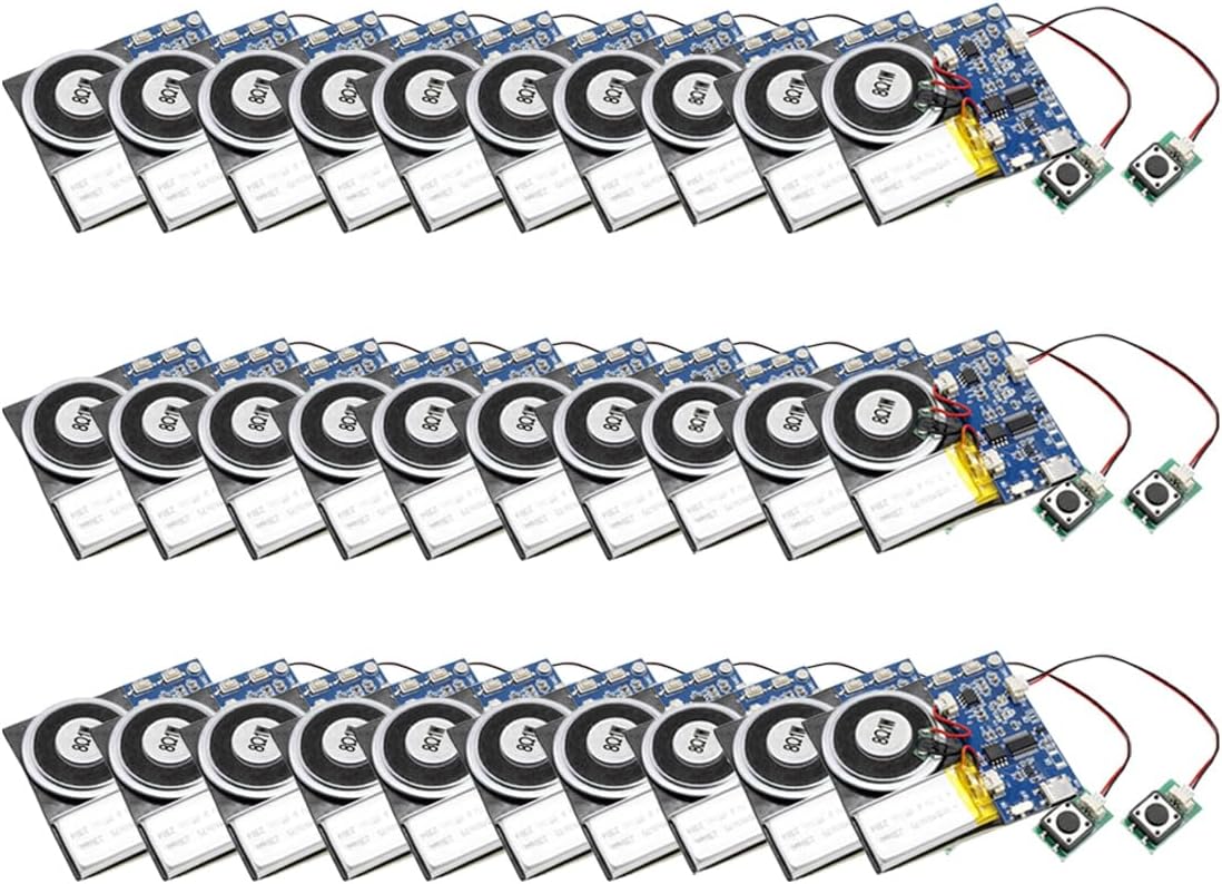 Amazon.com: XLW Module, 16MB Push Button Activated Sound Module with ...