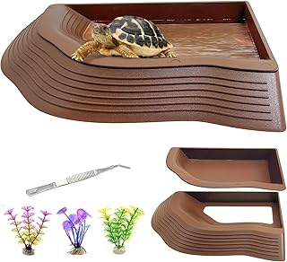 Can Tortoises Swim? A Look At The Aquatic Abilities Of Tortoises | PetShun