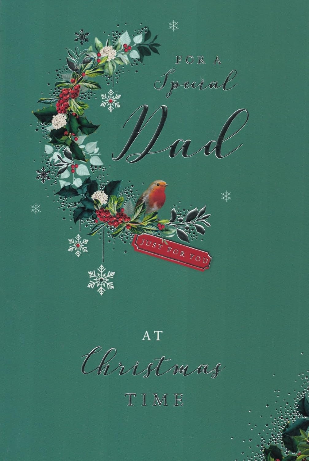 Special dad christmas card. Traditional festive xmas robin design. 9 x ...