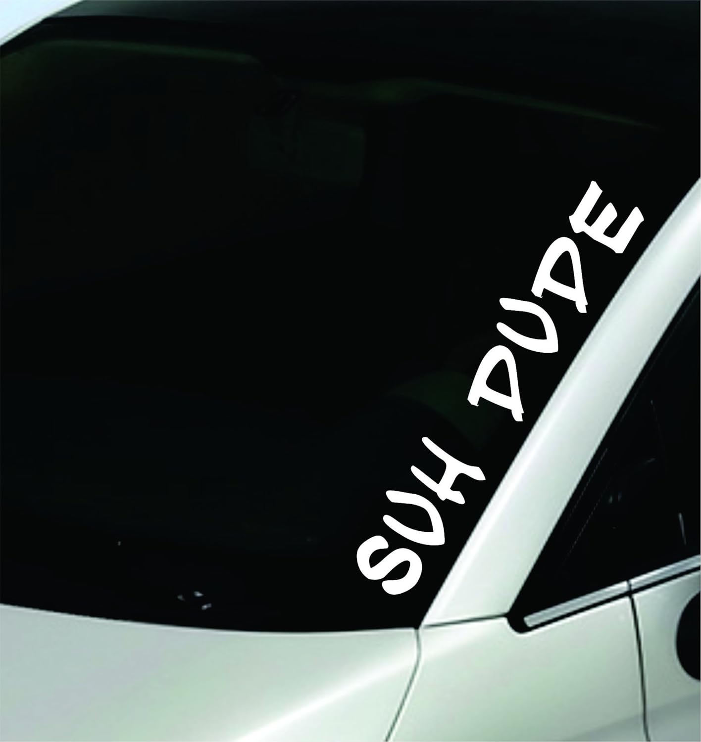 Amazon.com - Dabbledown Decals Suh Dude Large Version Car Window ...