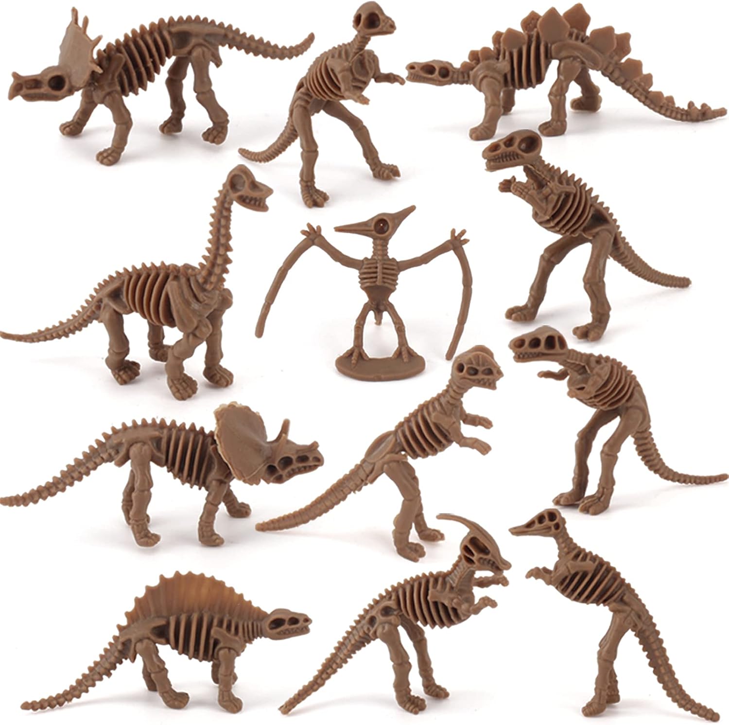 Amazon.com: Fantarea Dinosaur Skeleton Fossils Assorted Bones 12 PCS ...