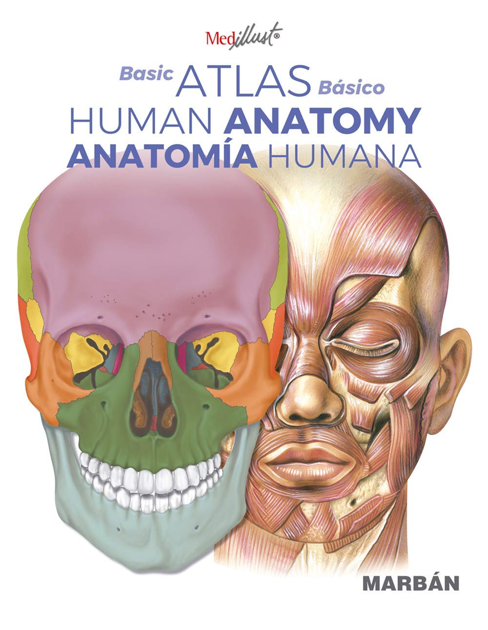 Atlas básico anatomía humana | Amazon.com.br