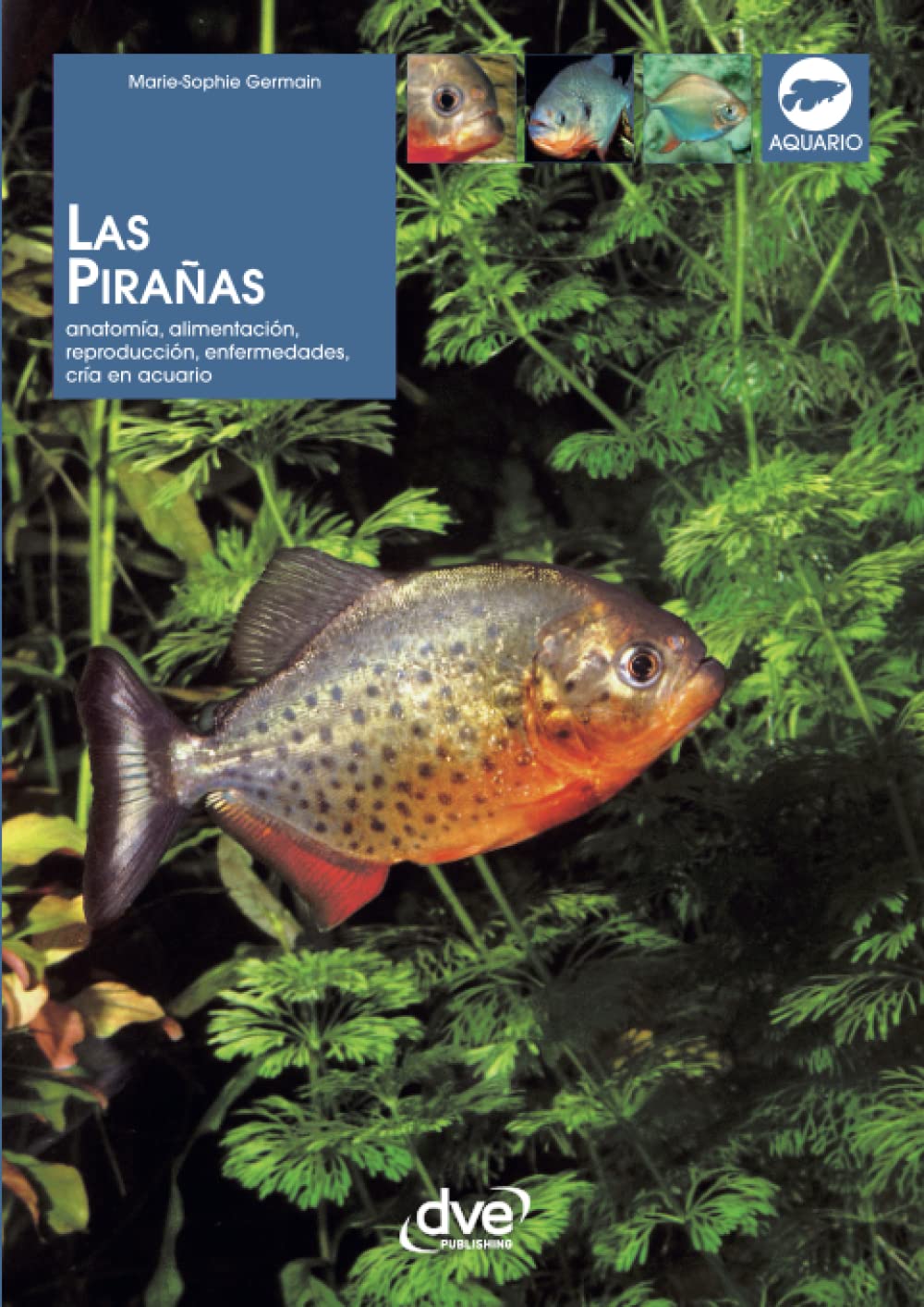 Las pirañas (Spanish Edition): Germain, Marie-Sophie: 9781646990917 ...