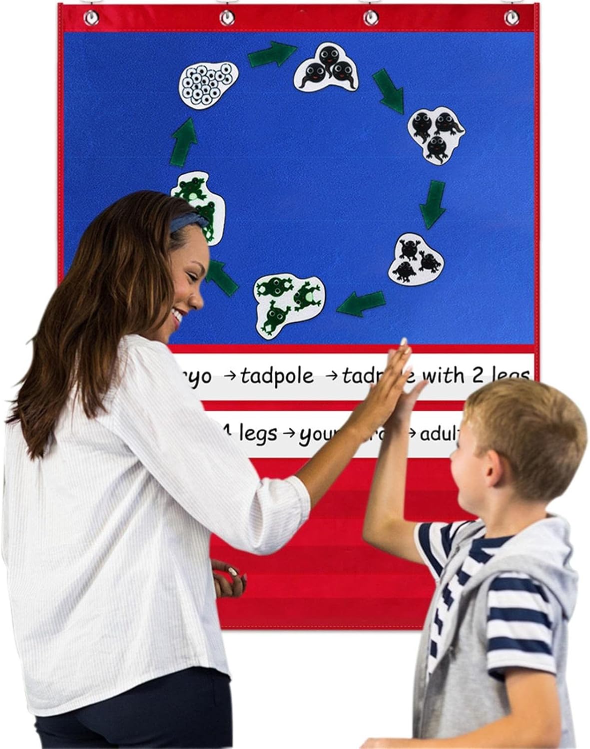Standard Pocket Chart Standard Size Pocket Chart With 5 Pocket And 15 Standard Pocket Chart Standard Size Pocket Chart With 5 Pocket And 15